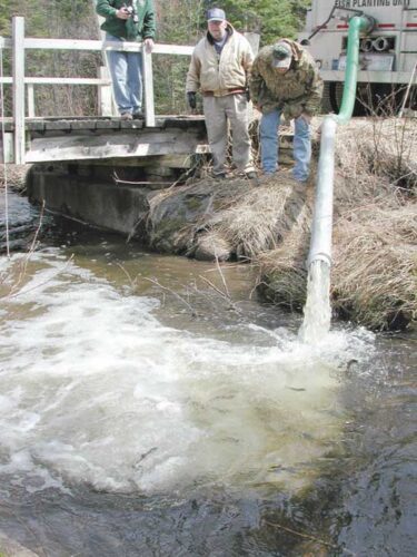 DNR: Tons of state hatchery-raised fish stocked in Michigan’s waters ...